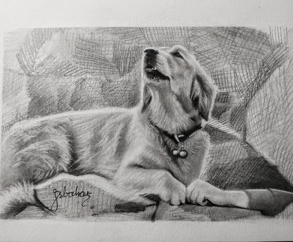 ArtStation - Earthquake, rescue dog graphite drawing