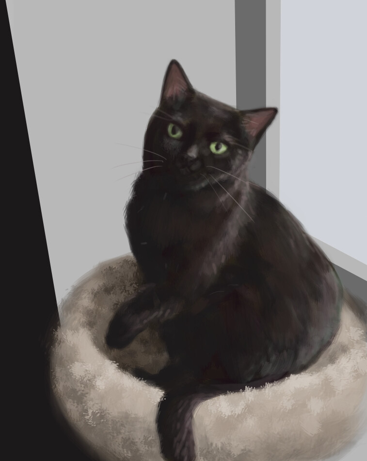 ArtStation - Unknown cat portrait on a window
