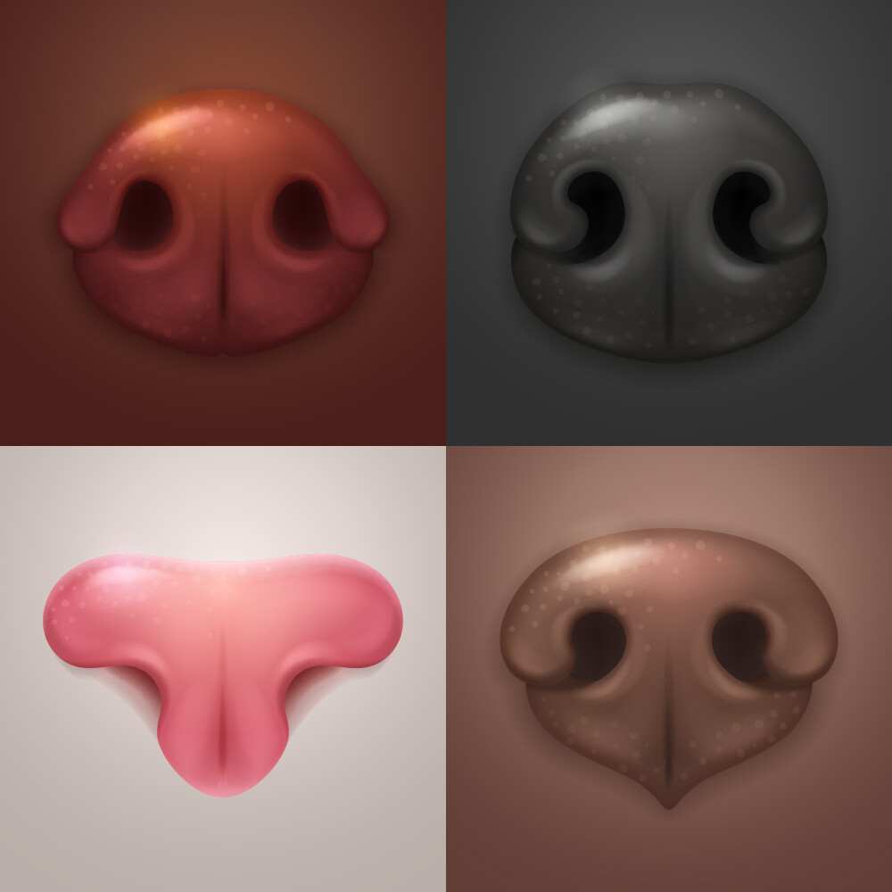 ArtStation - Animal noses