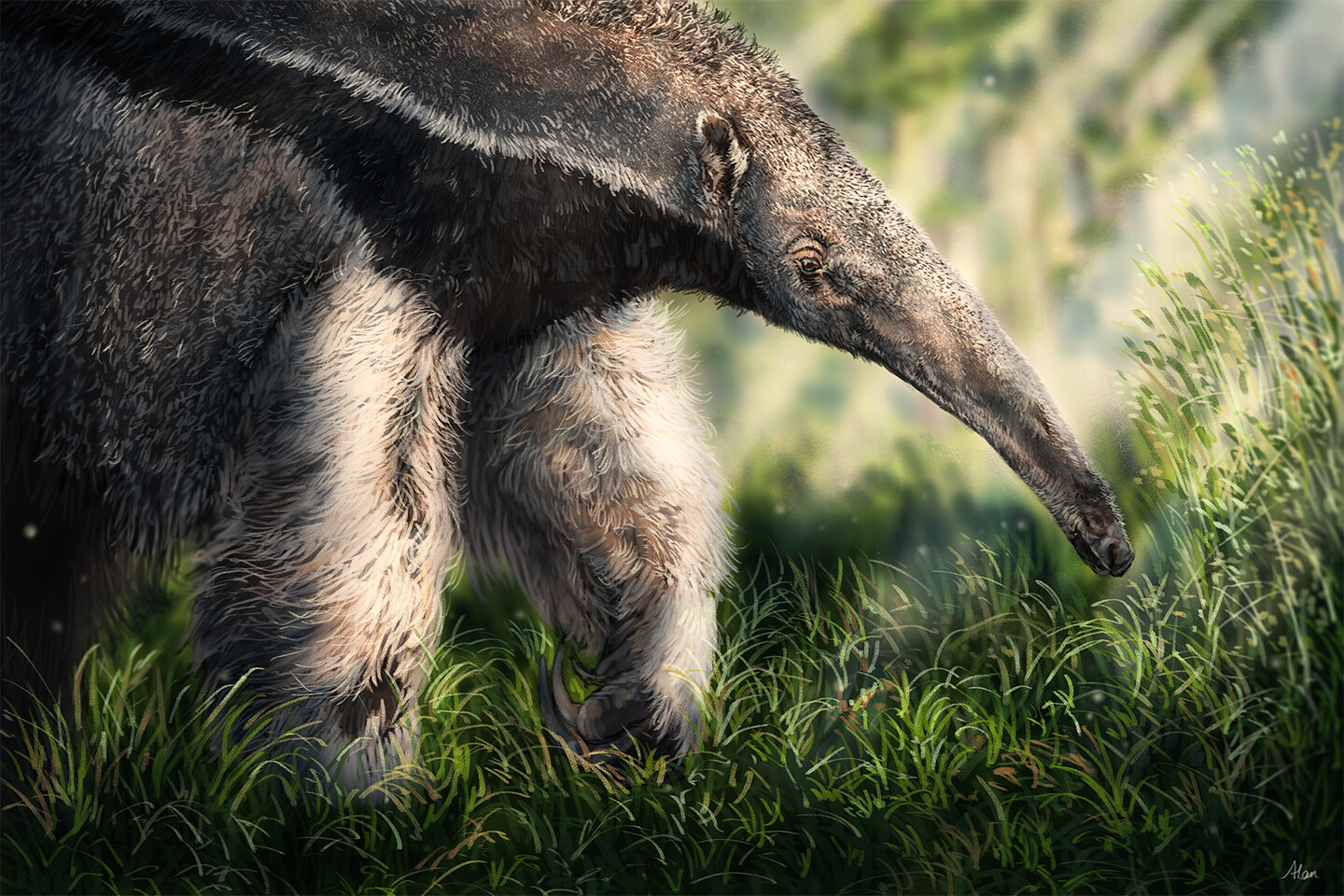 Giant Anteater Rainforest