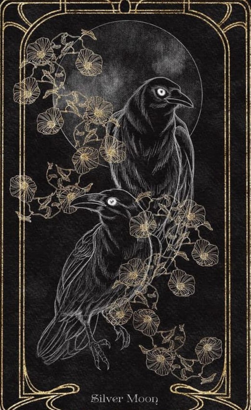 ArtStation - art concept