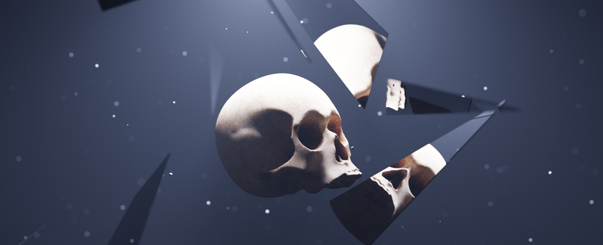 ArtStation - Reflections of the skull