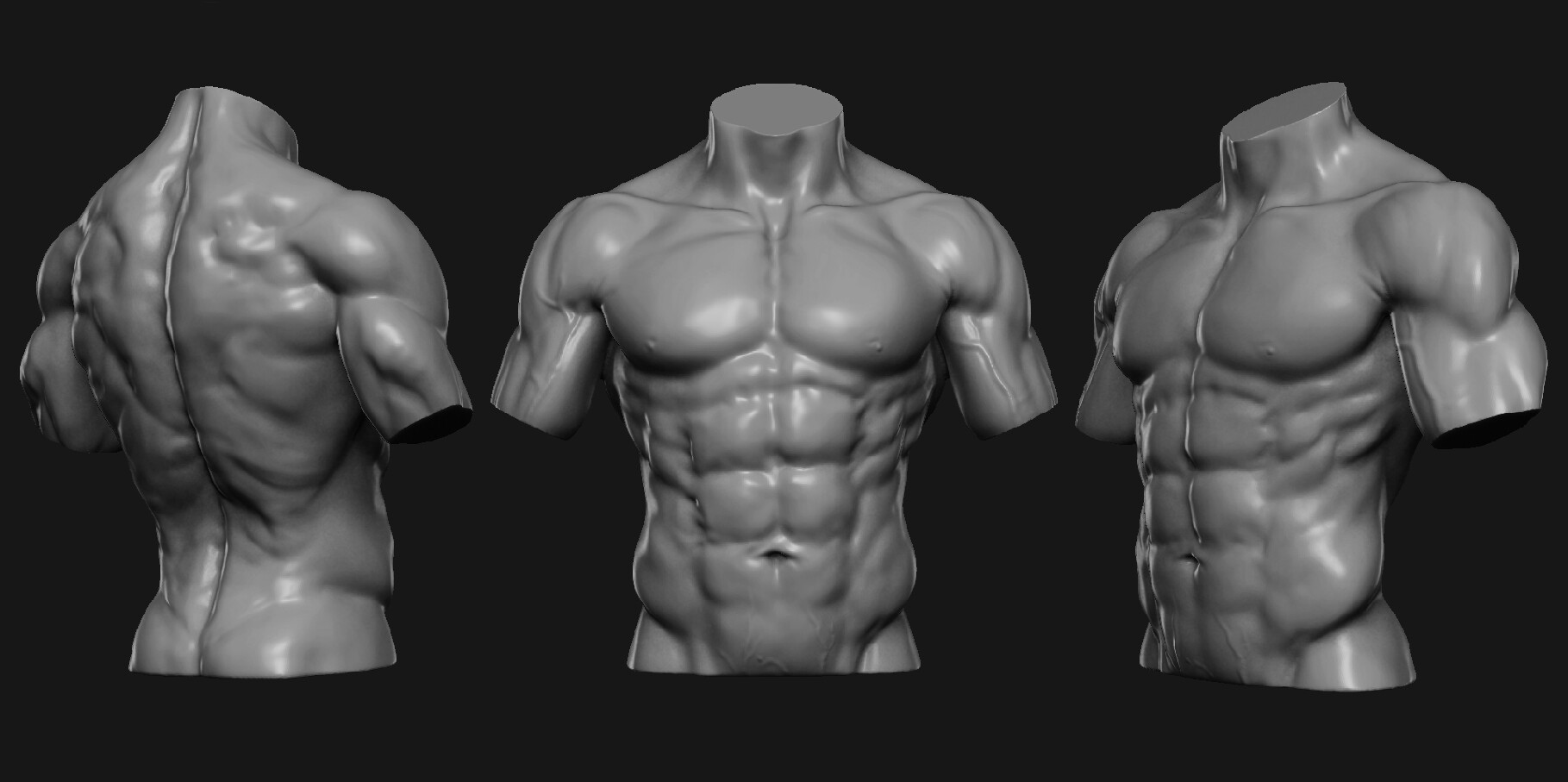 Alba Vicente - Torso anatomy study