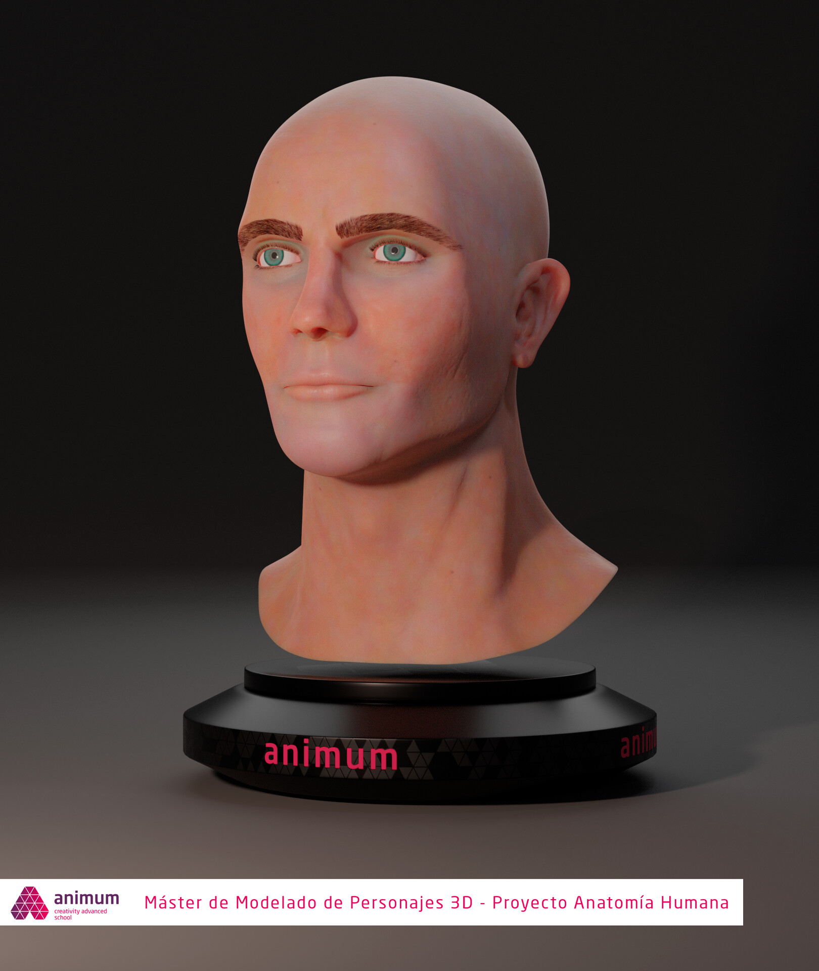 ArtStation - Human Male Bust