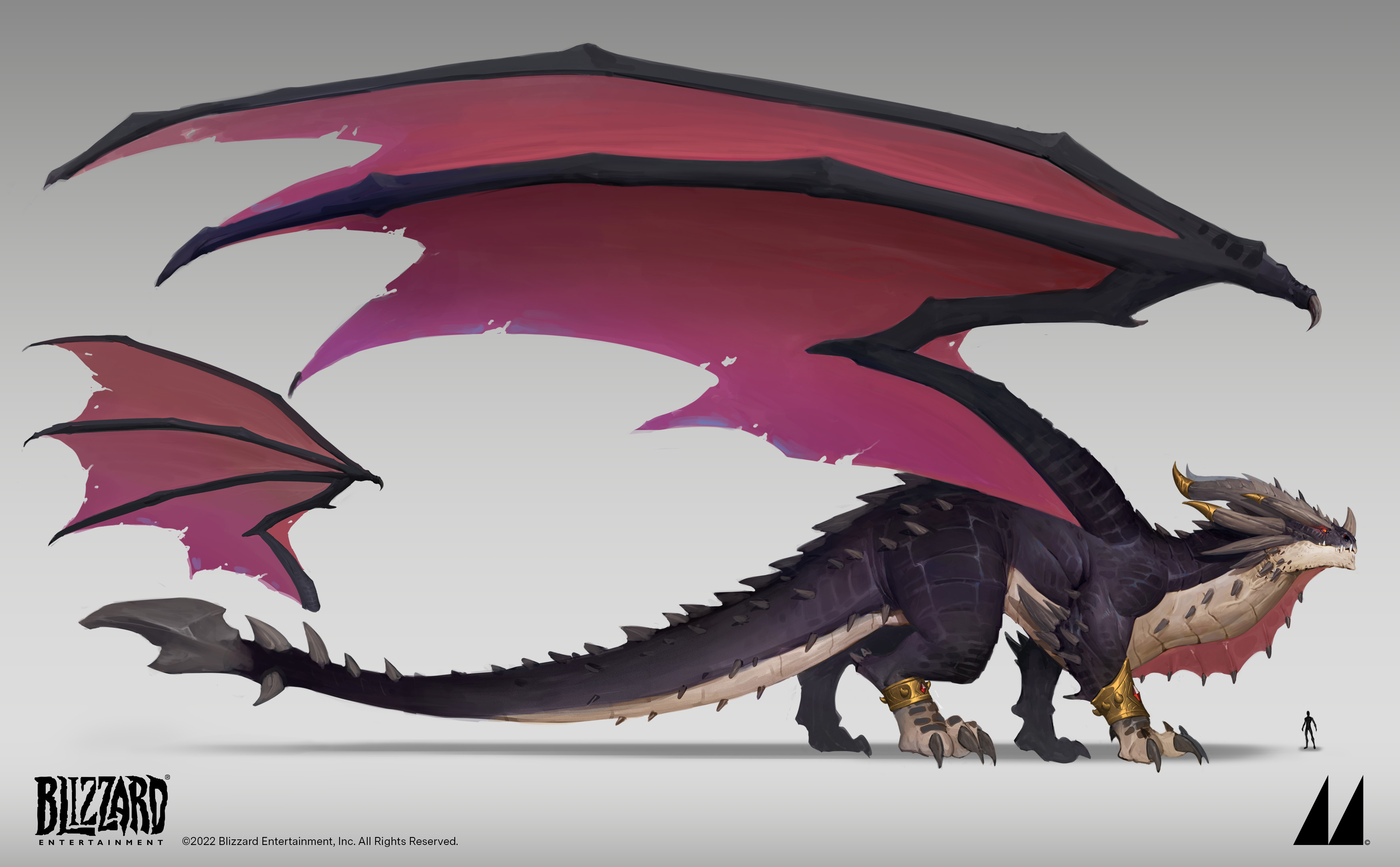 dragonflight concept art