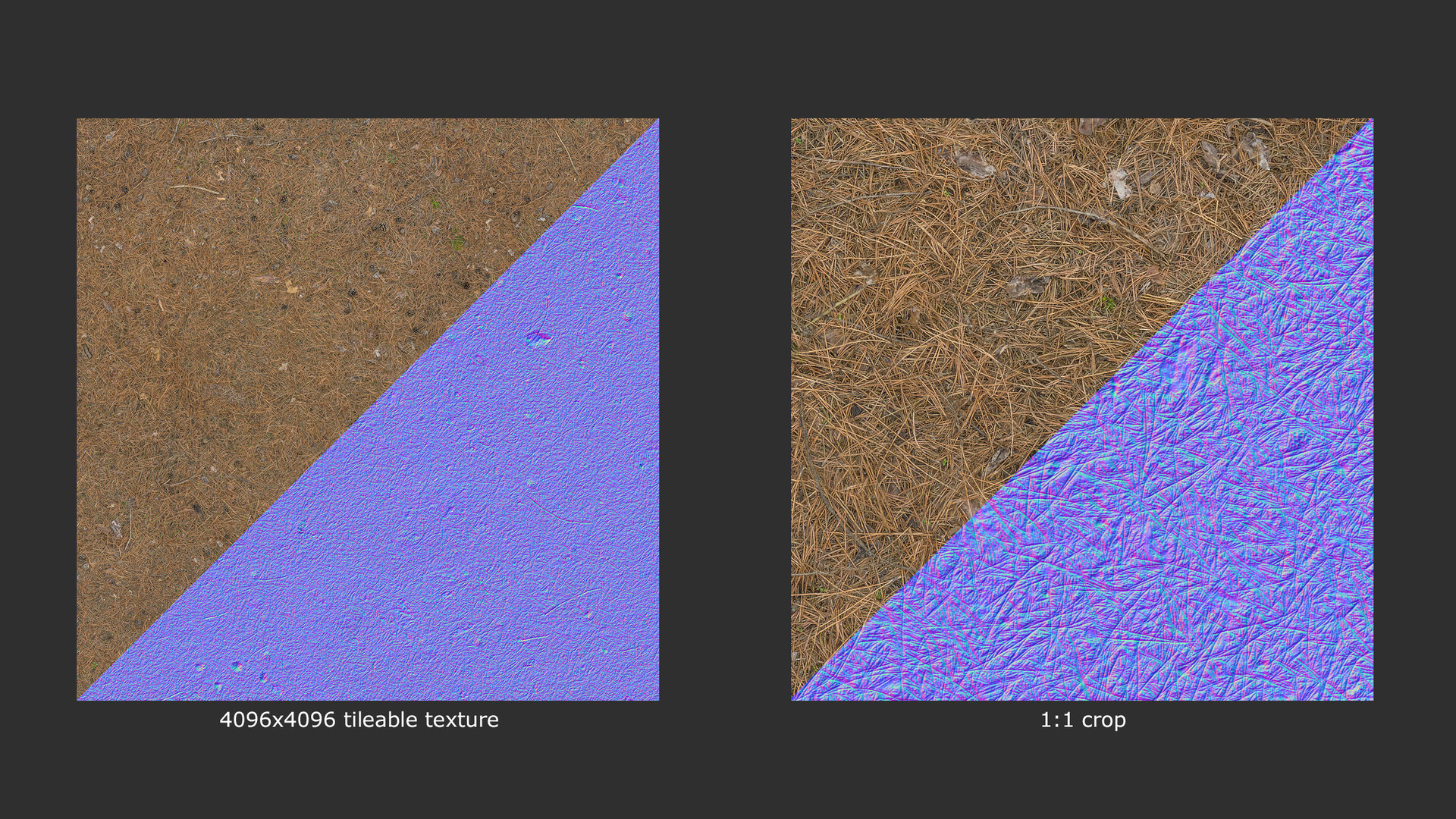 Mert Mimaroglu - Nordic AutoBiome - Scots Pine