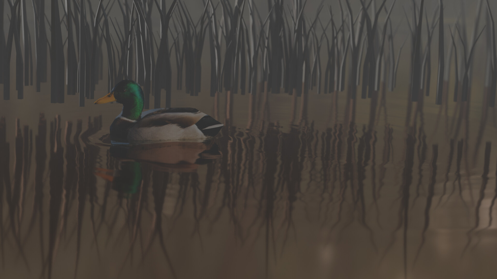 Artstation Duck