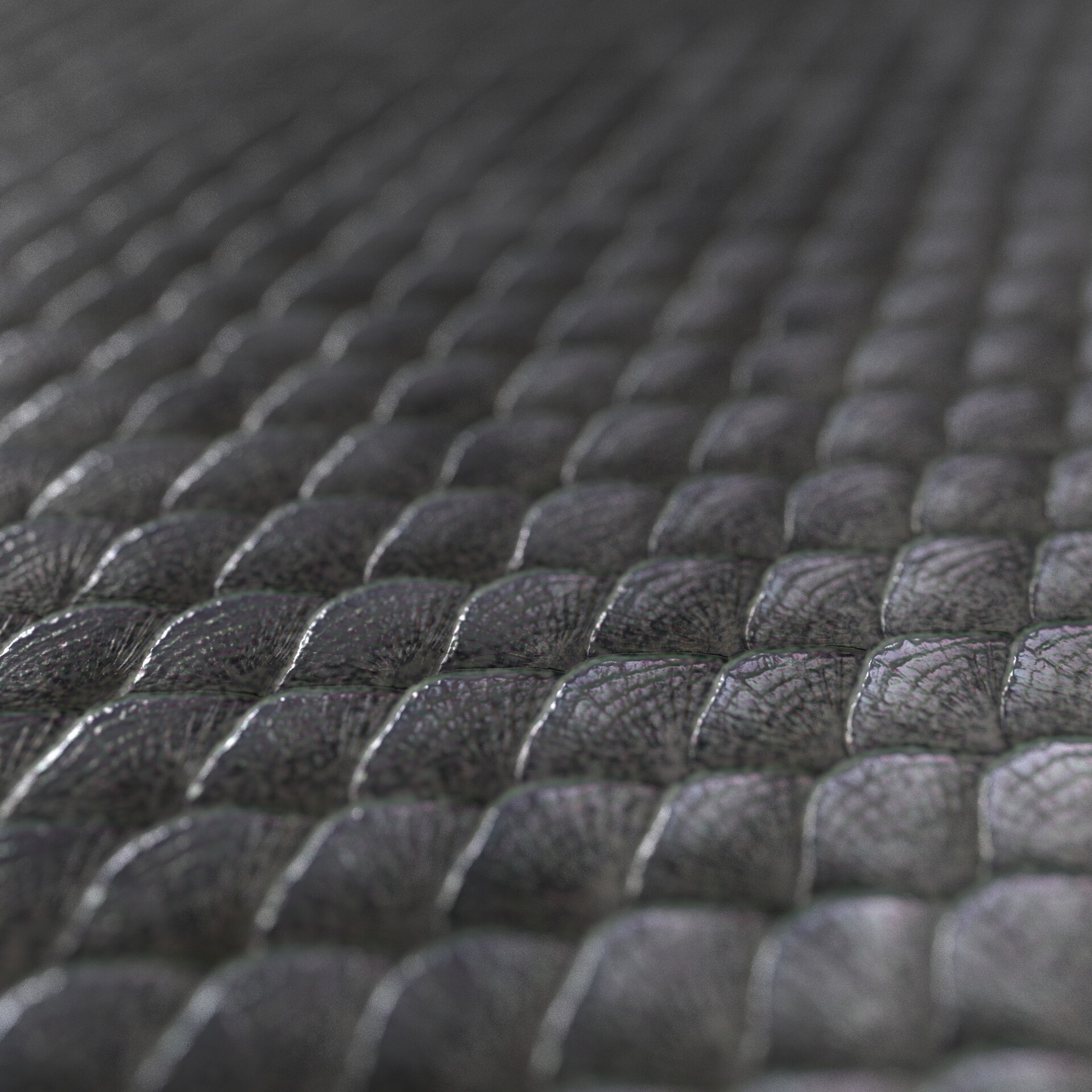 David L. Lemieux - Fish Scales PBR Pocedural Material 001