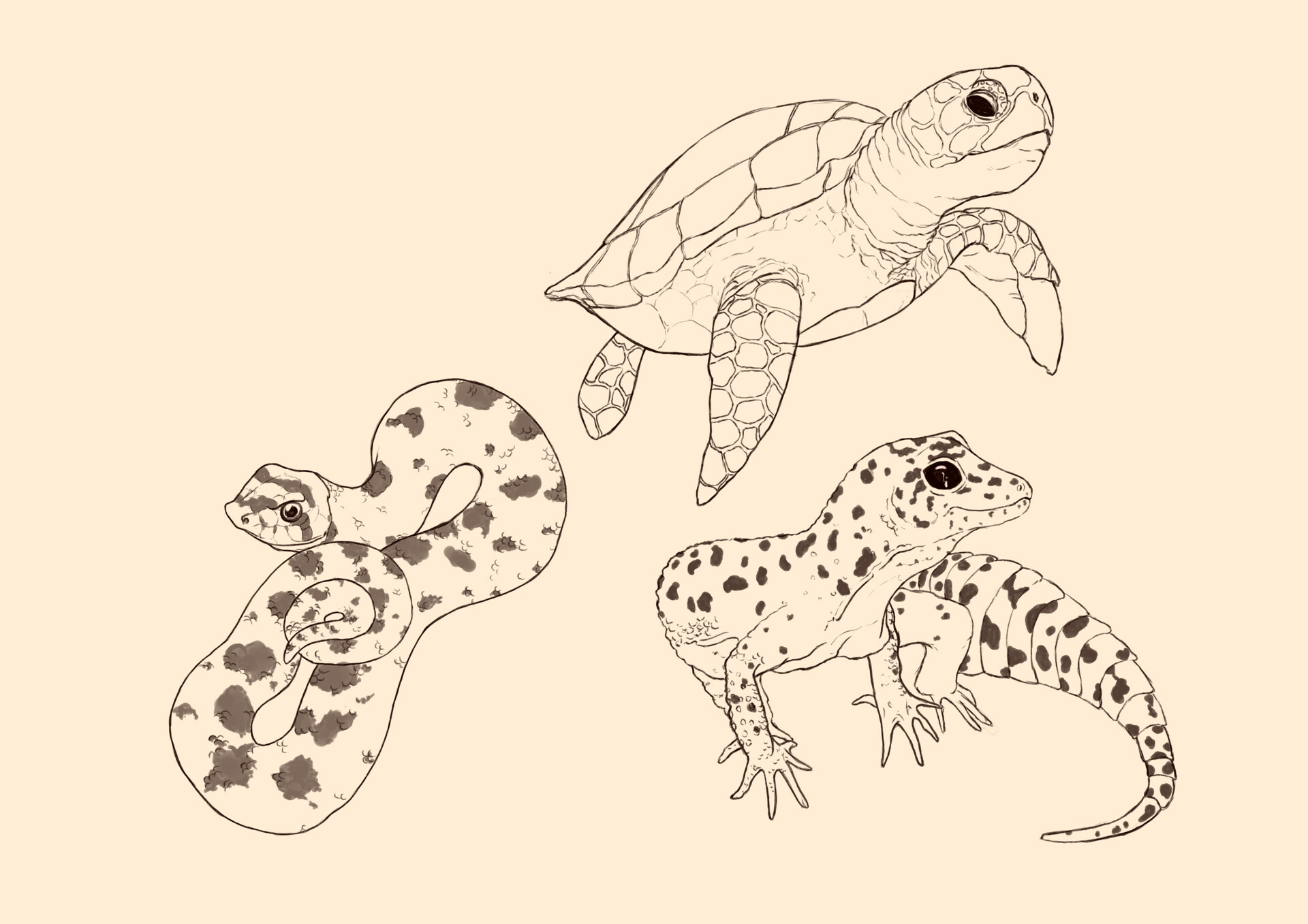 ArtStation - Reptiles