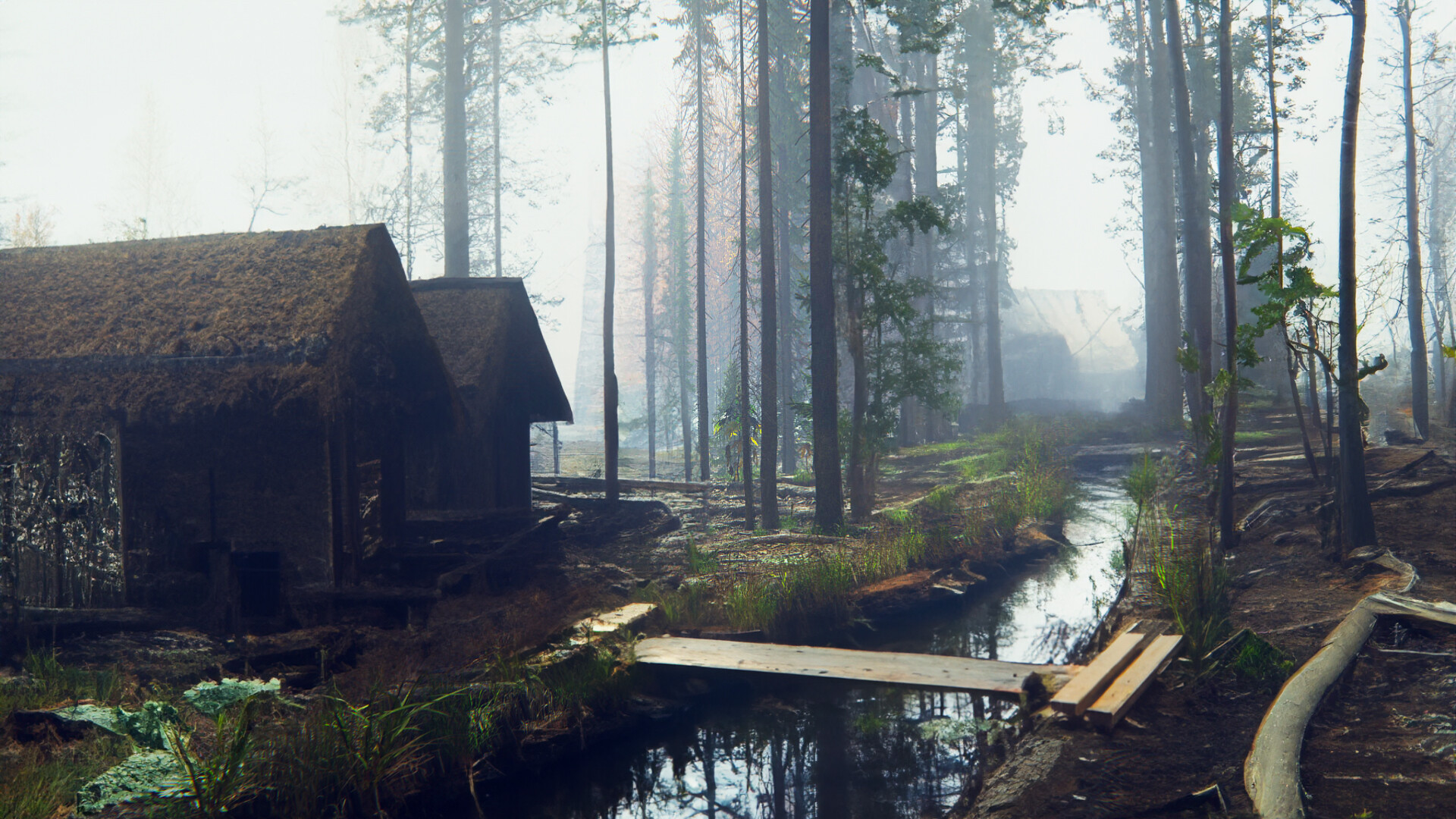 ArtStation - Forest (Rework of an old image with Photoshop (Beta))