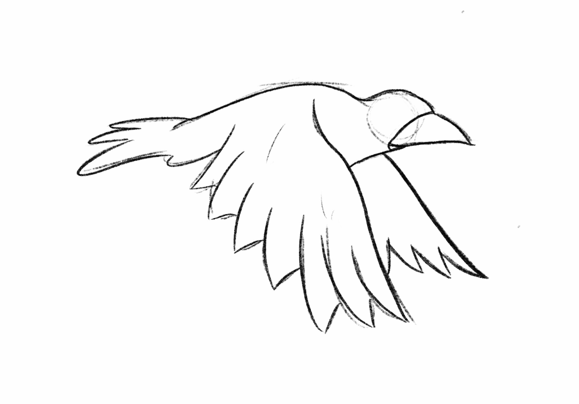 ArtStation - Bird Flying Animation