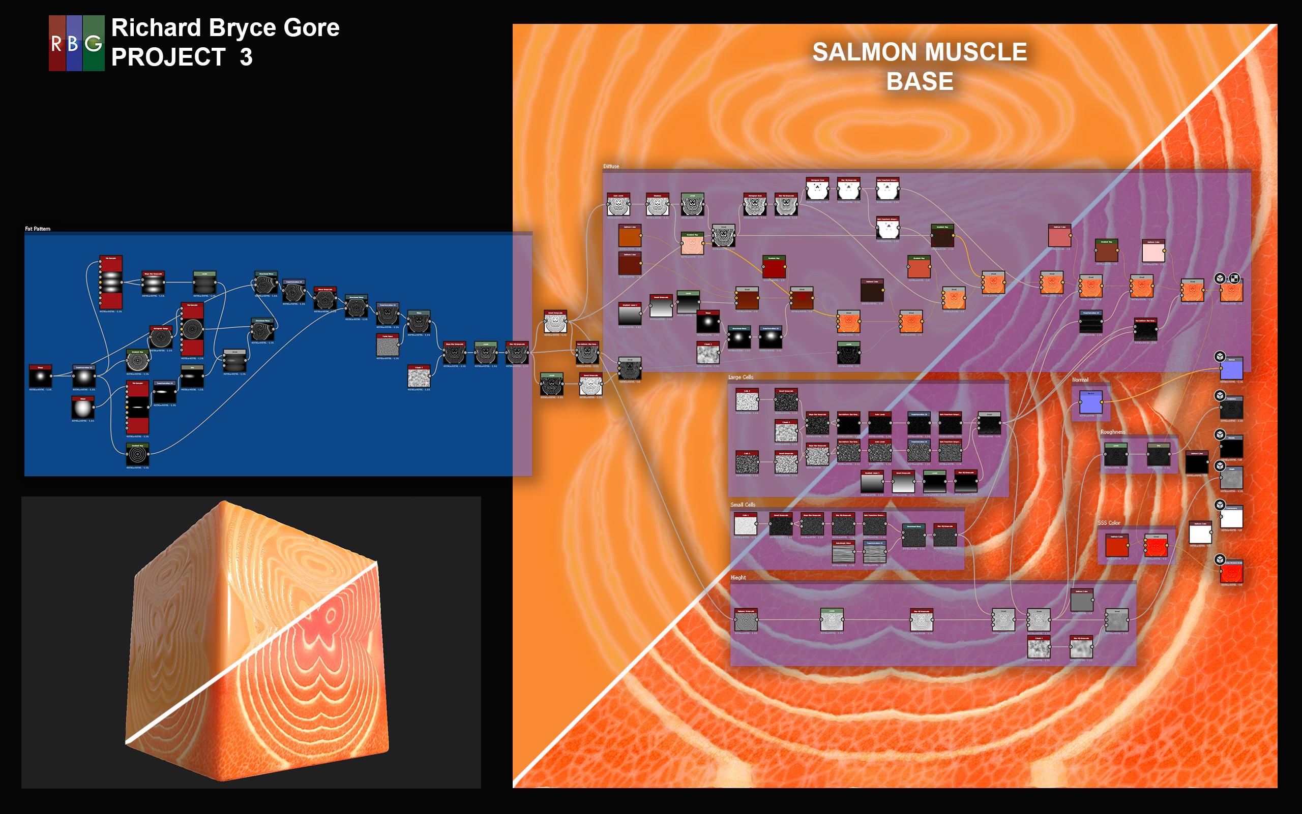 Richard Bryce Gore - Salmon Steak: Organic Material Study