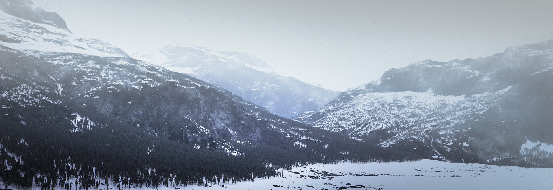 massimo verona - Gaea Study