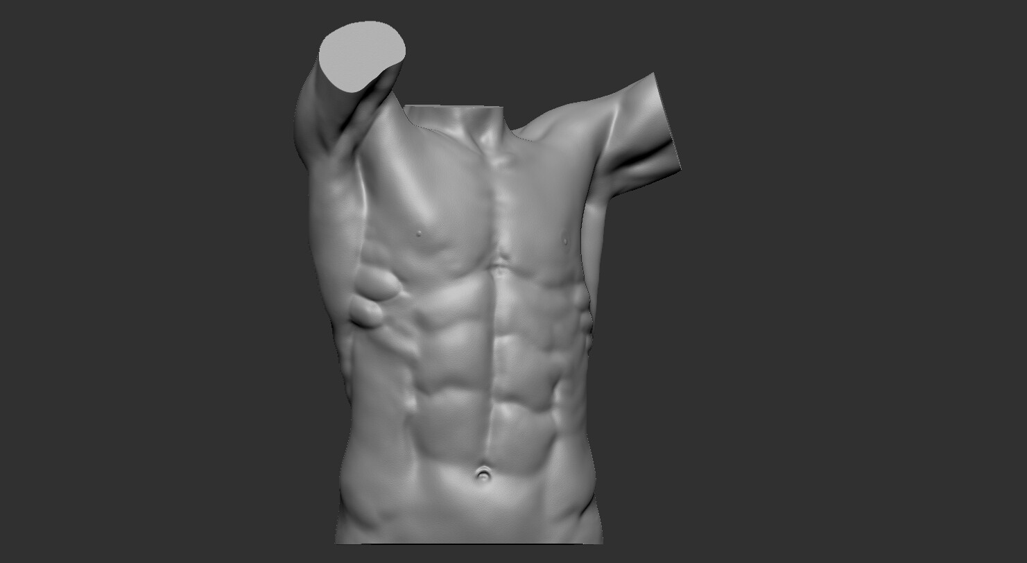 ArtStation - Male Torso