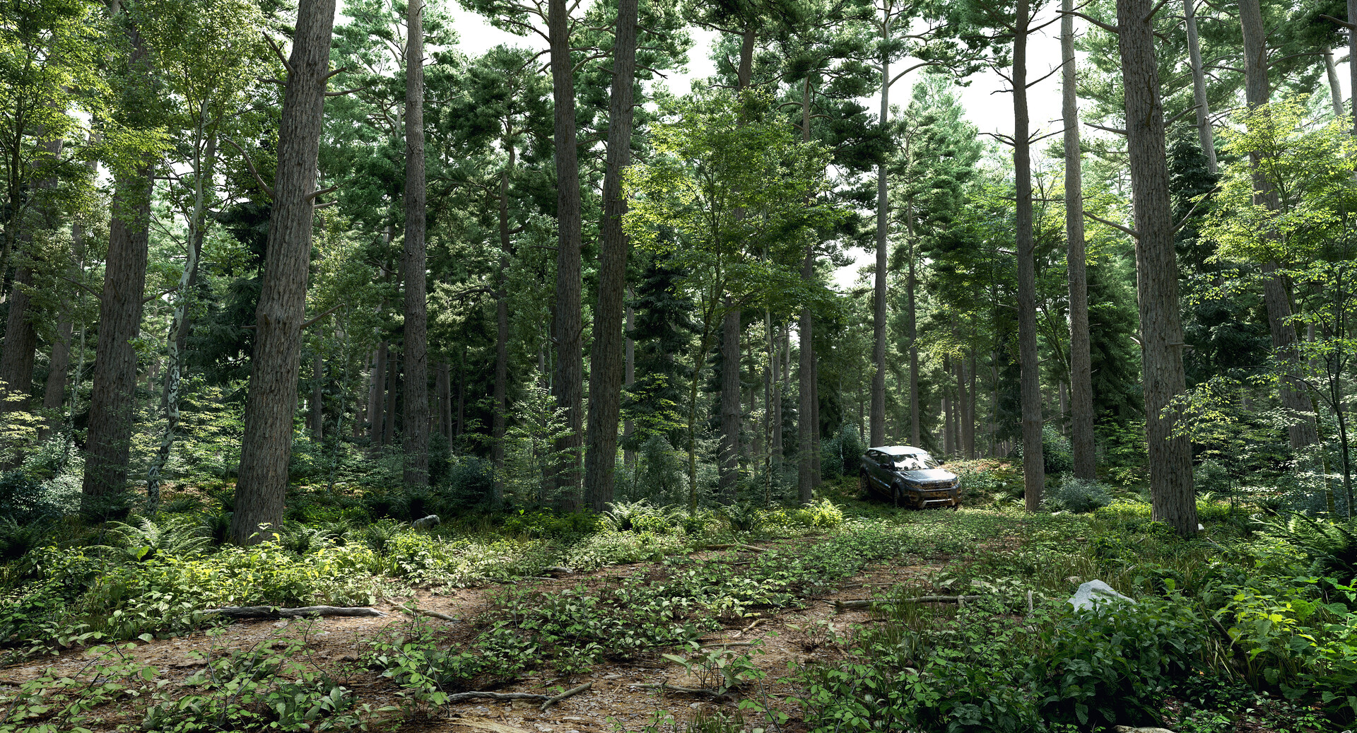 ArtStation - Road trip