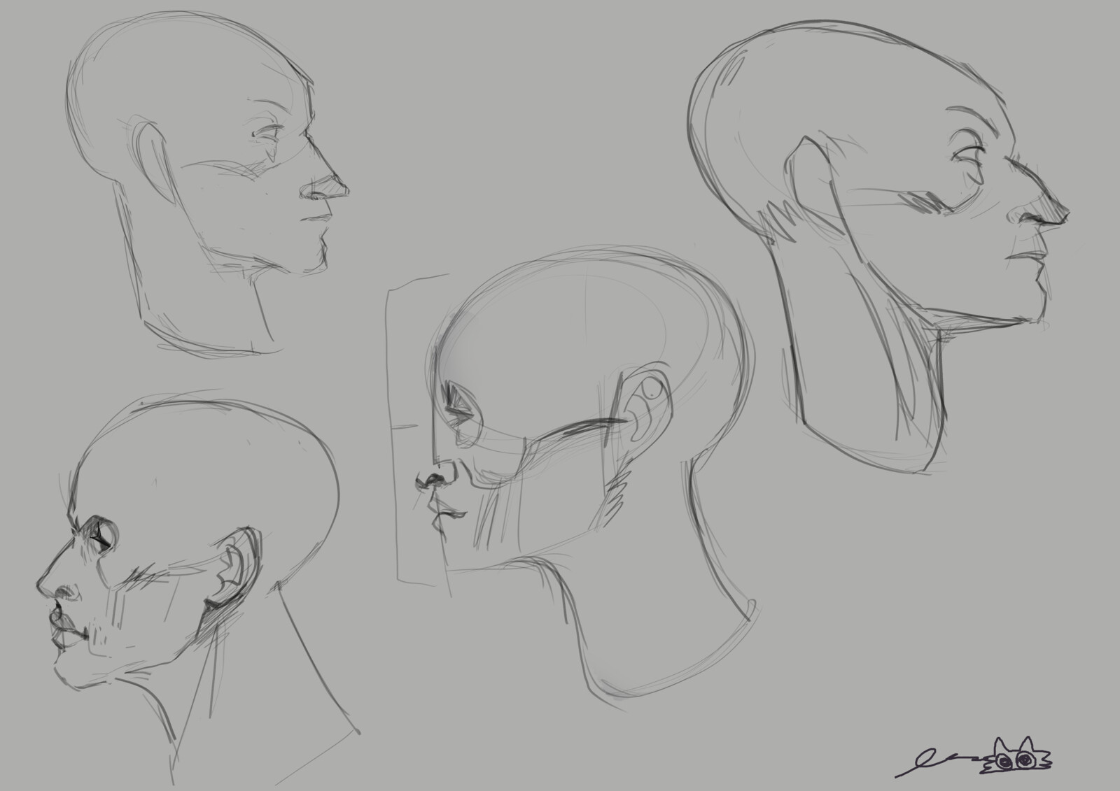 Maeve O'Carroll - Morpho Simplified Form Study 1