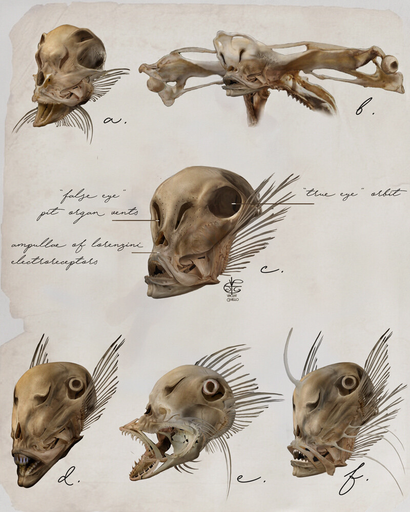 Vincent Coviello - Mermay 2023