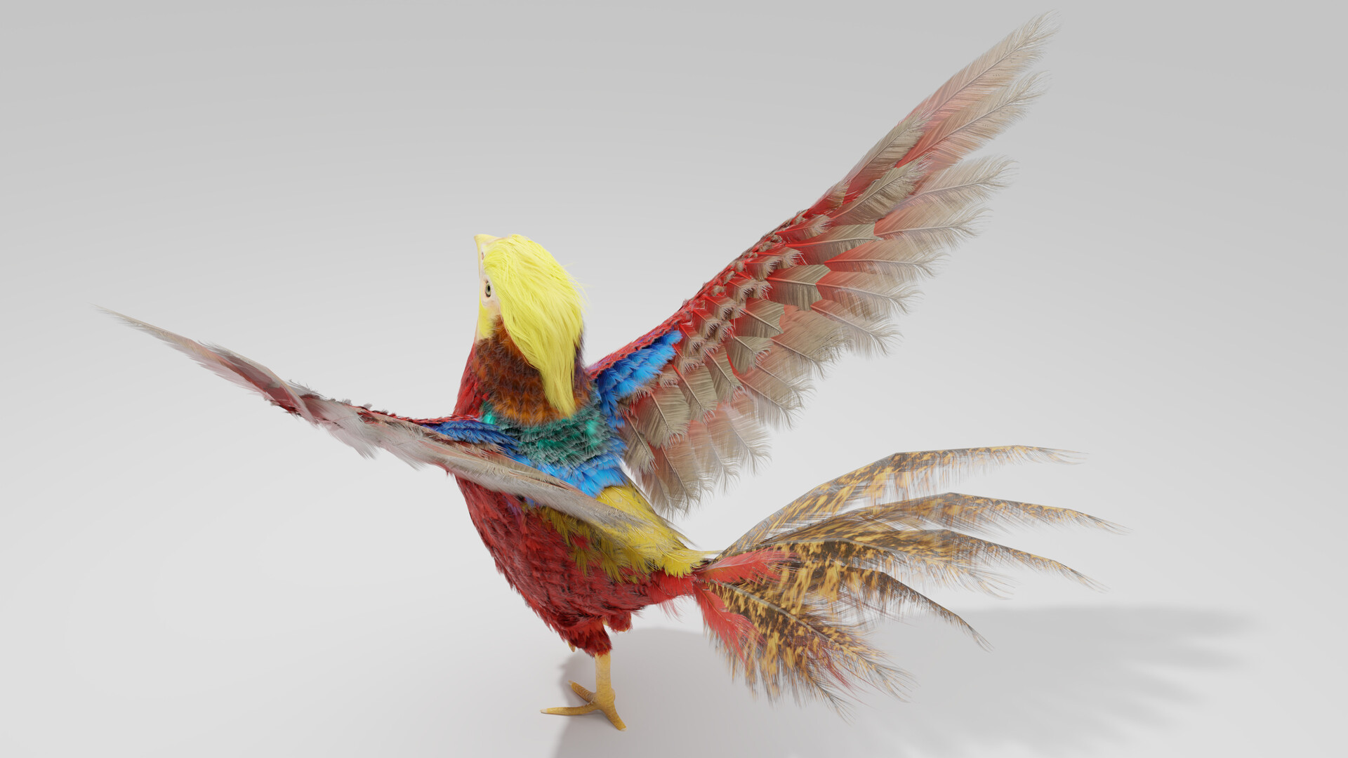 Rowan Buchanan - Golden Pheasant - The Rookies Submission 2023