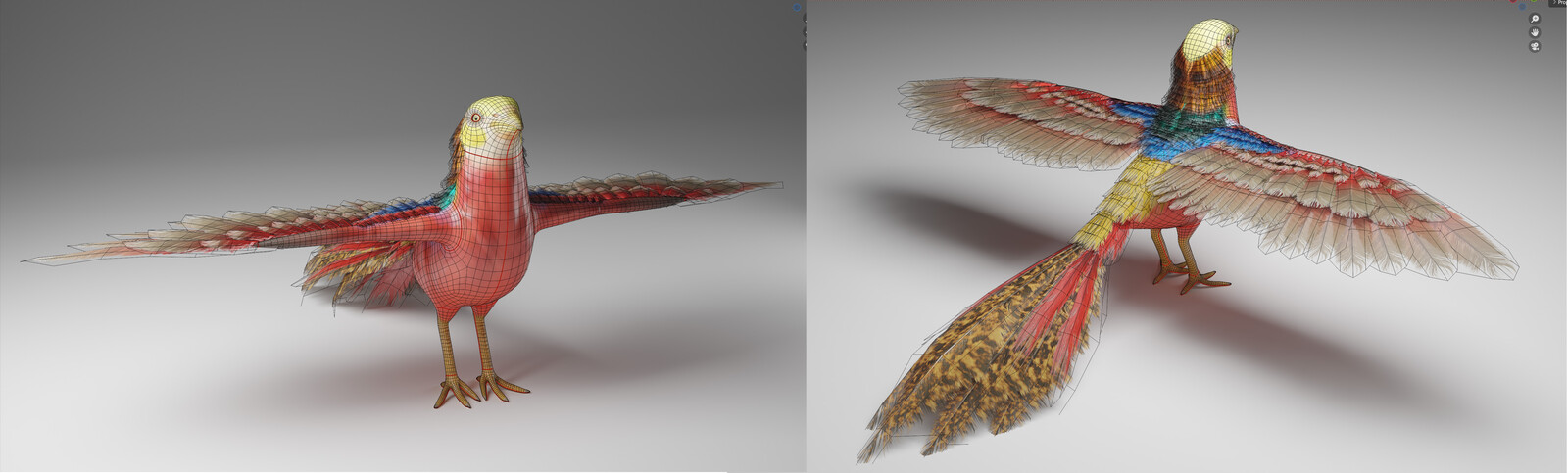 Rowan Buchanan - Golden Pheasant - The Rookies Submission 2023