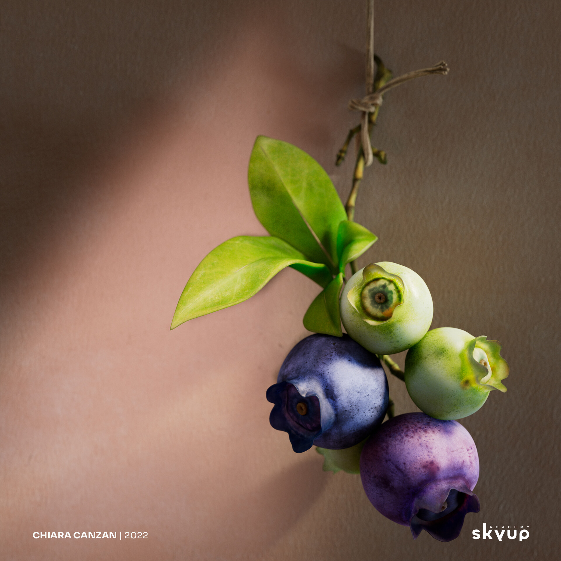 ArtStation - Blueberries