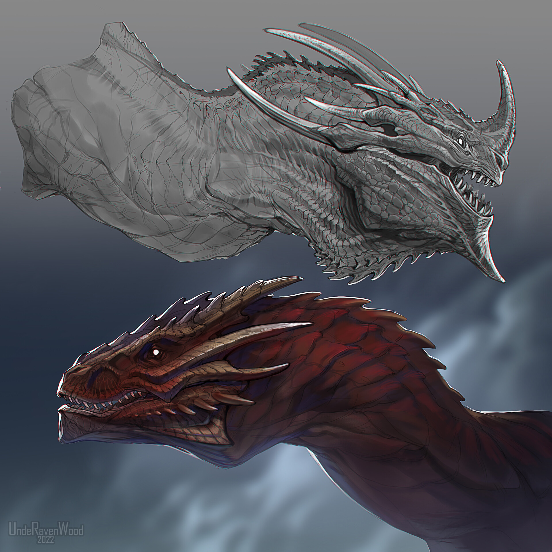 ArtStation - Dragon Sketches