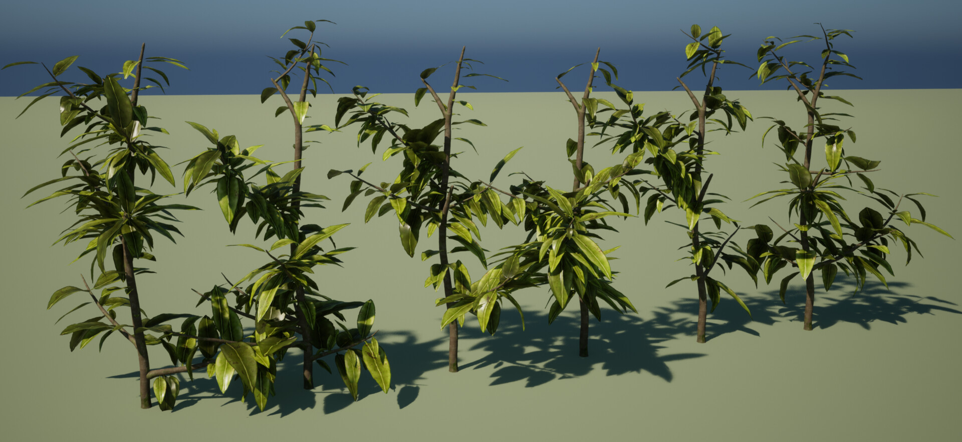 Piet Prager - Procedural Trees in Houdini | Honours Project