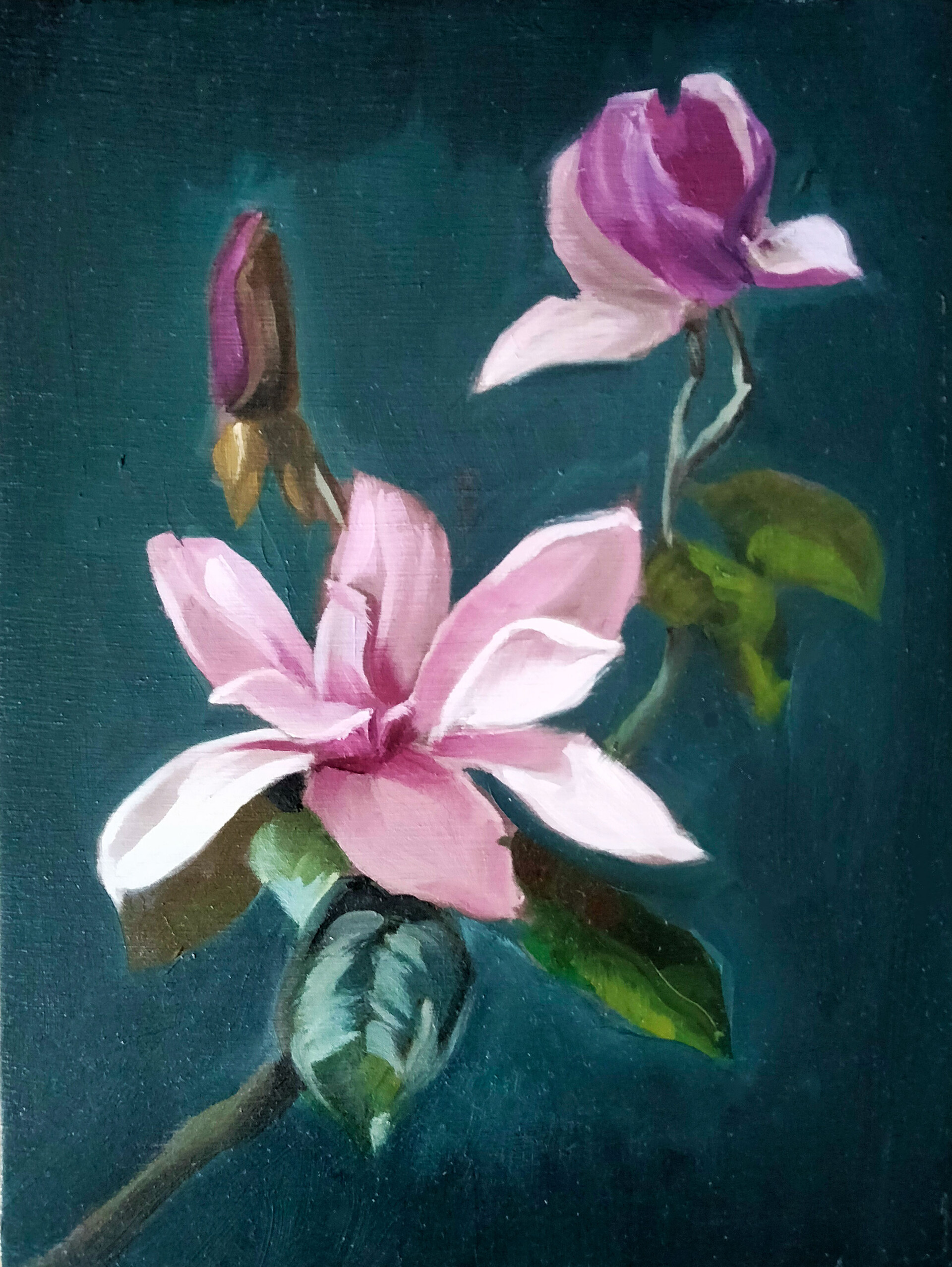 ArtStation - Magnolia in Oil Paint