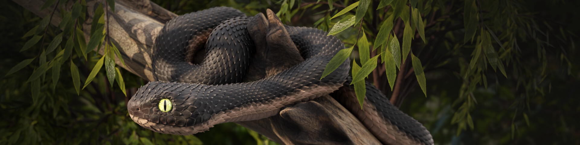 ArtStation - Bush Viper