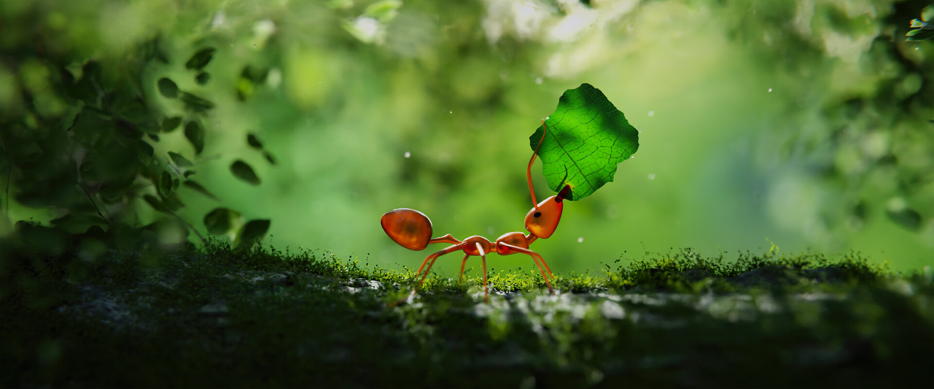 ArtStation - Ant carrying leaf