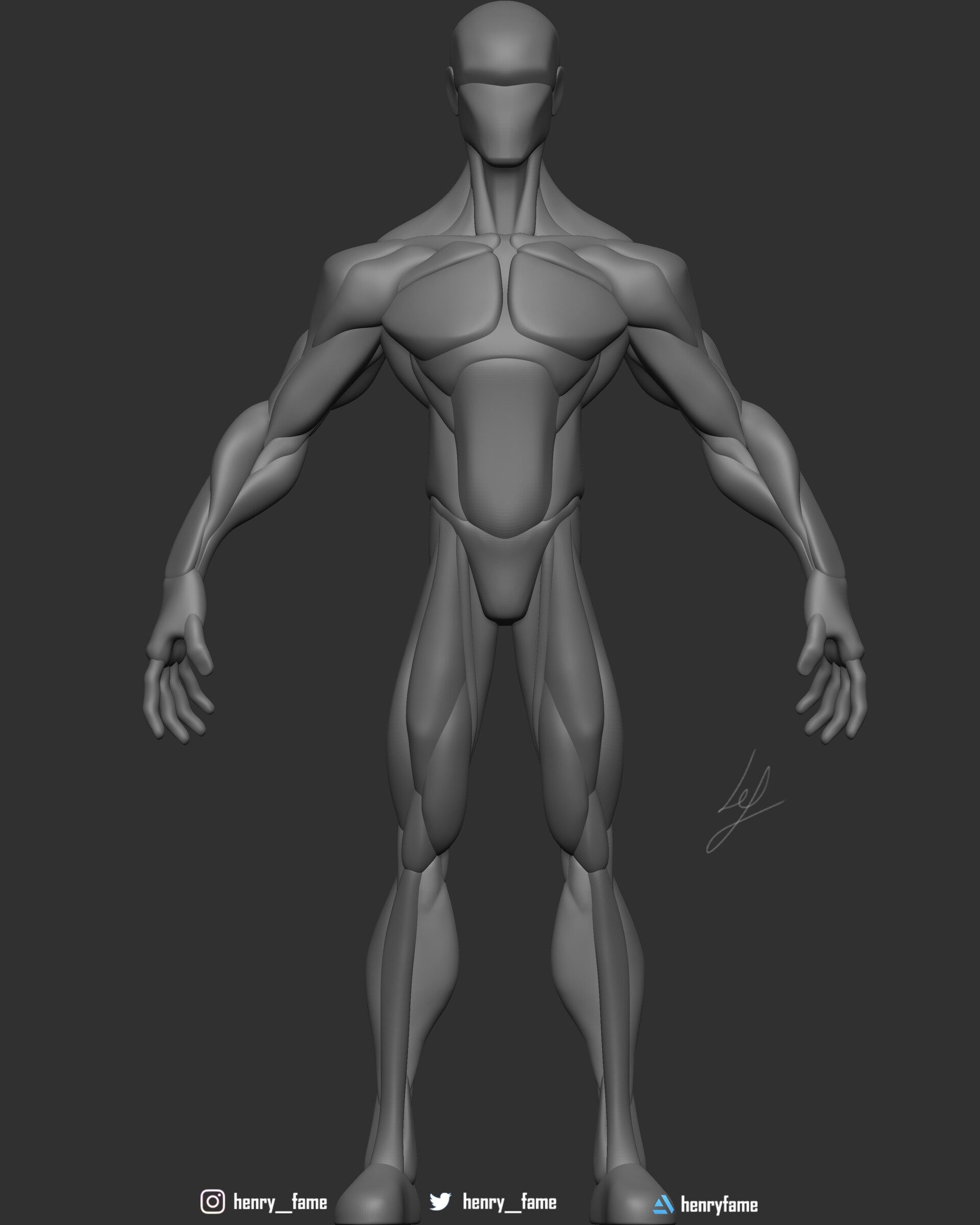 ArtStation - Stylized anatomy blockout