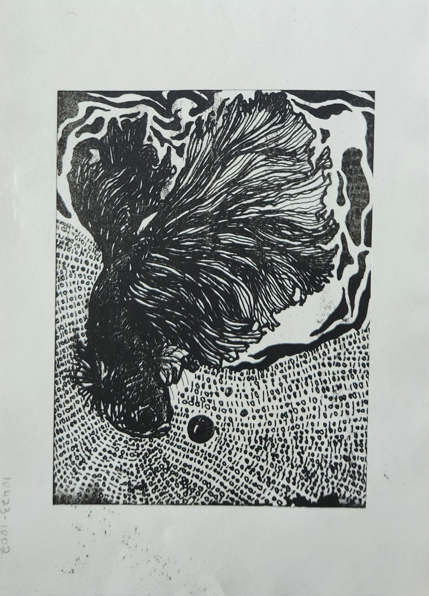 Nazia Amreen - Free-style Pronto