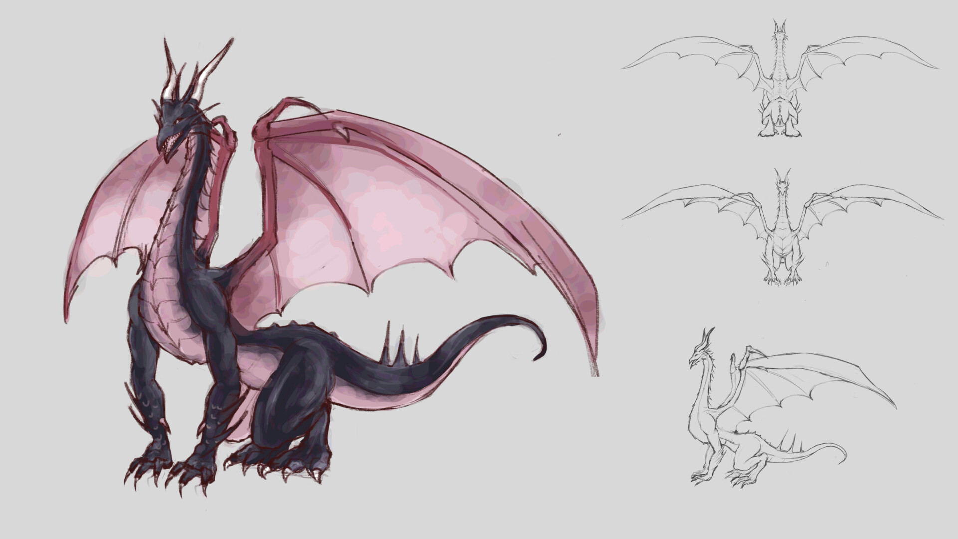ArtStation - Dragon model sheet