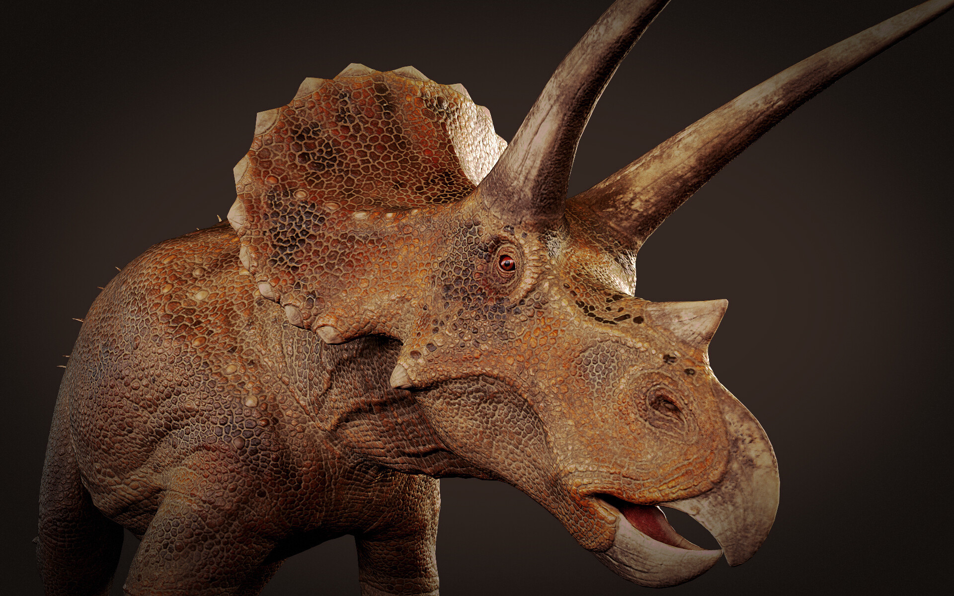 triceratops face