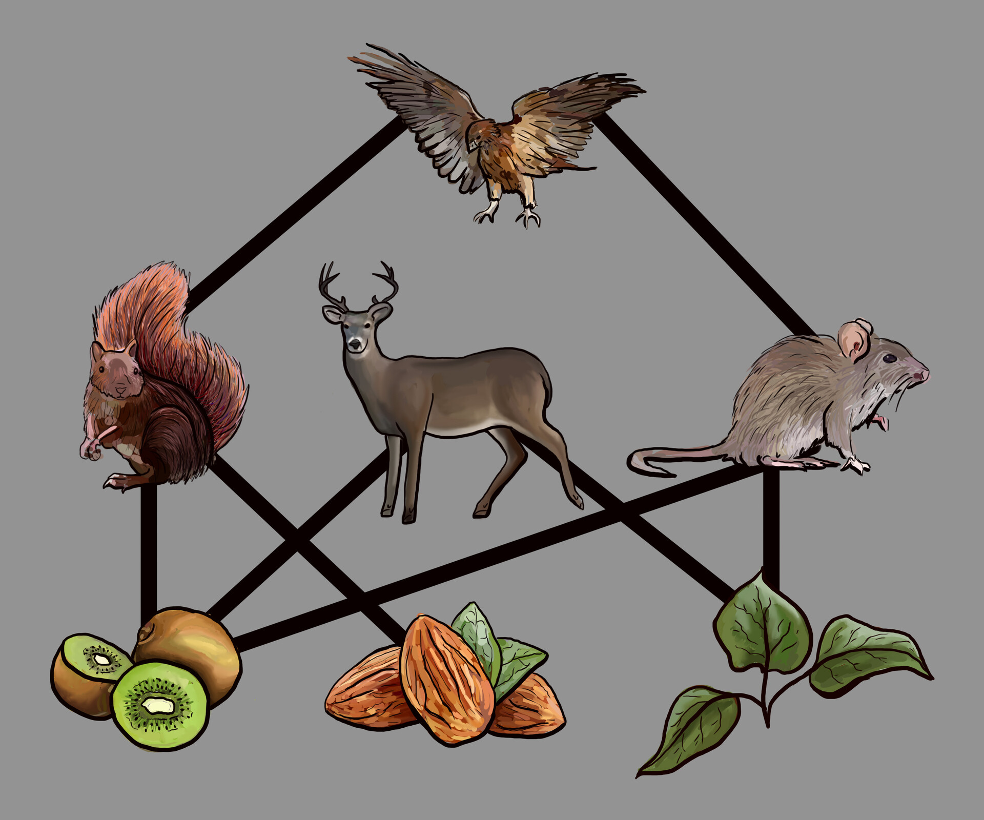 ArtStation - Food Web
