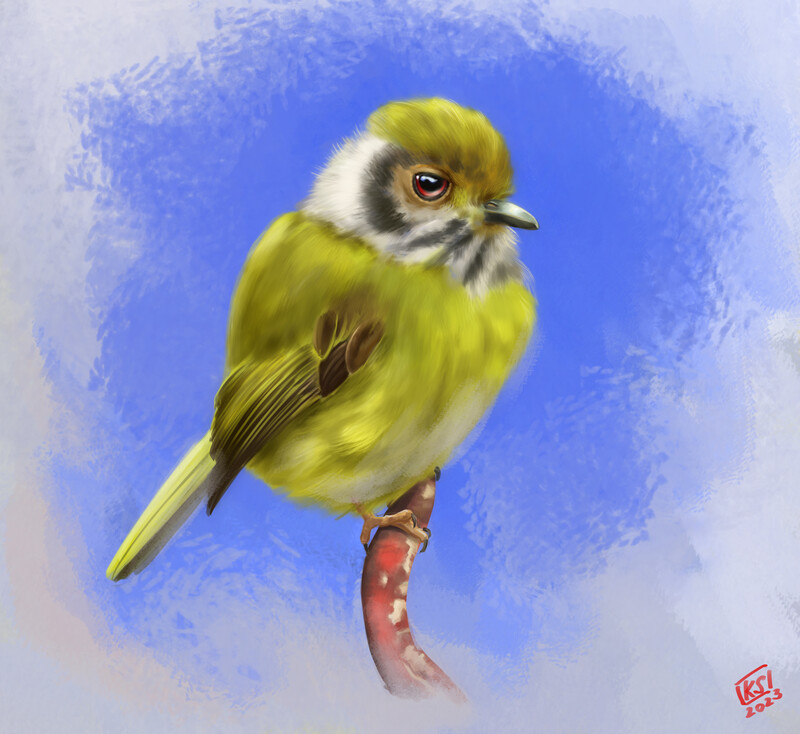 ArtStation - Kseniya Shparber