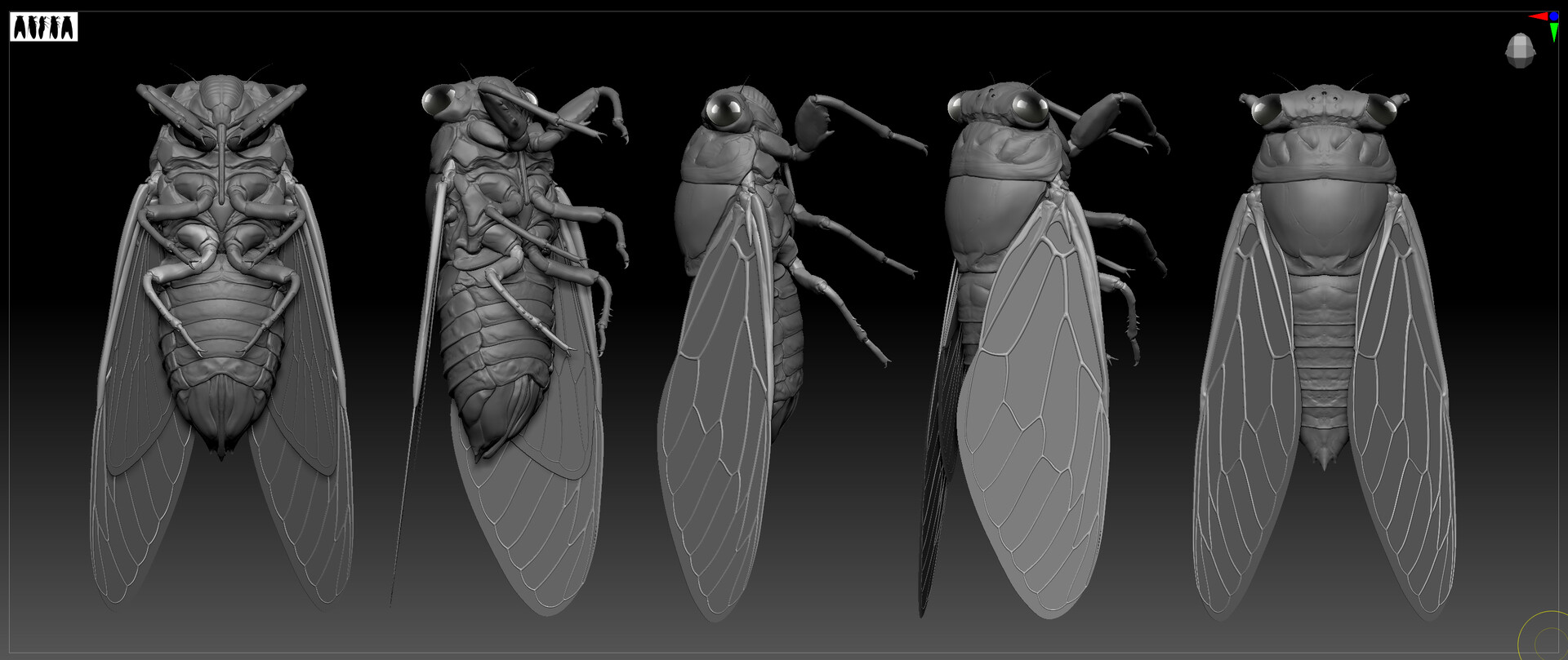 Alex Zinan Liu | Texture & Lookdev Artist | Vancouver - Cicada