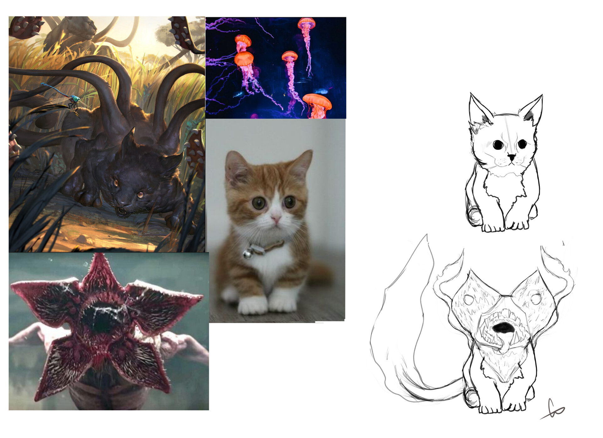 Catalina Lara - Experiment 89