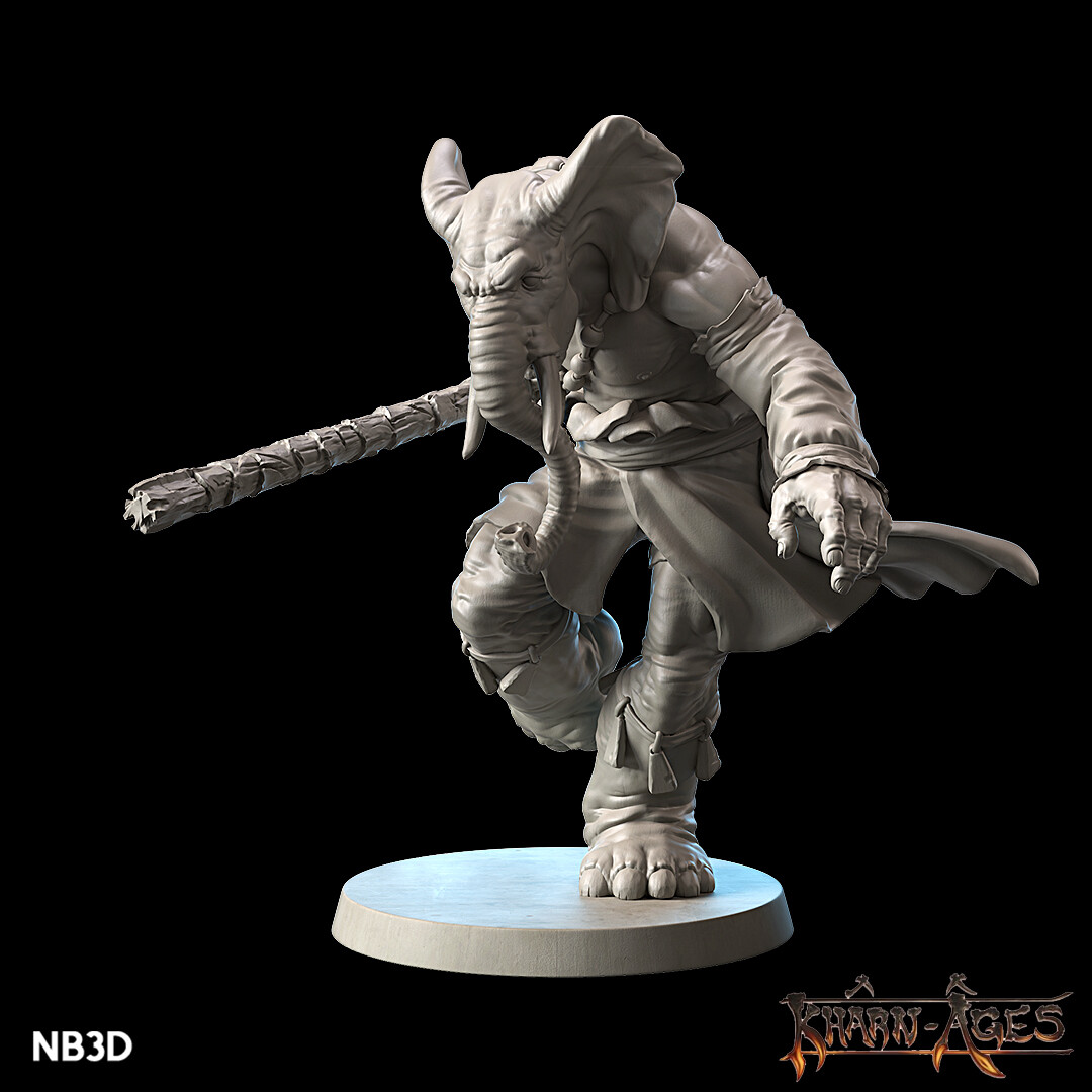 Nicolas BIGEARD - Tembo _ Novice