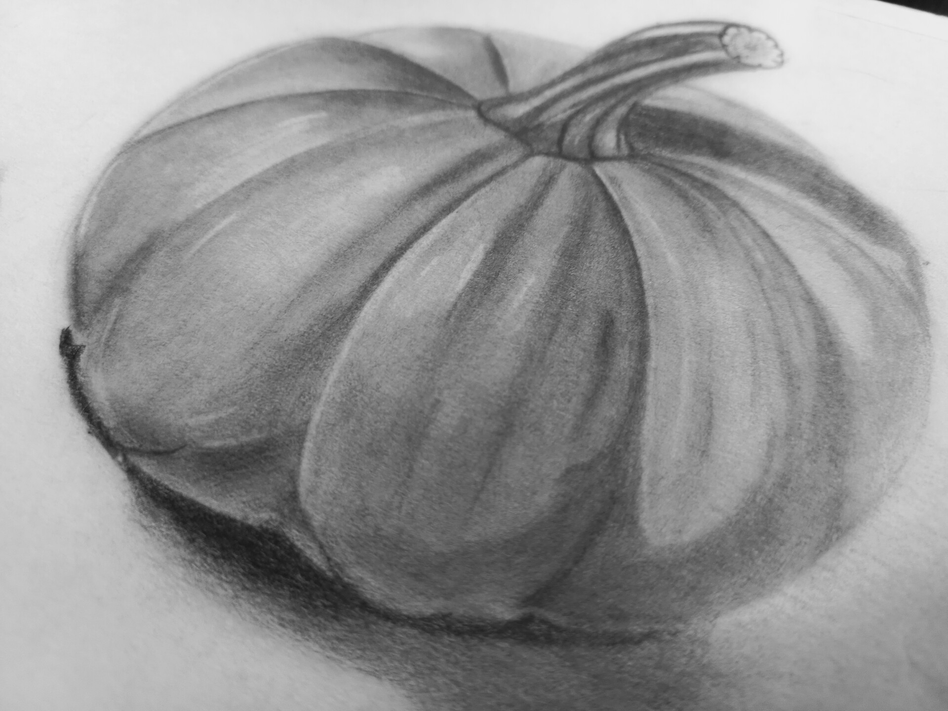 ArtStation - still life sketch