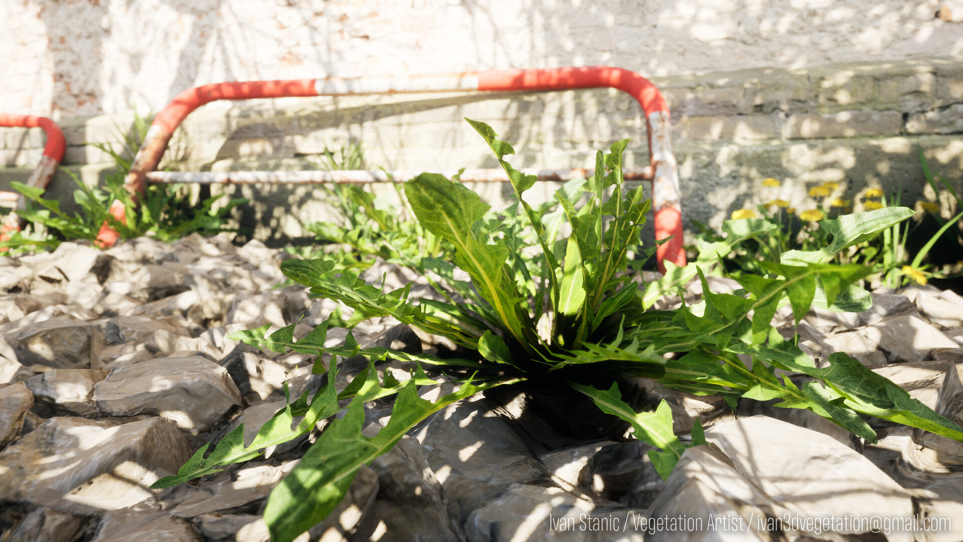 Ivan Stanic - Ground Pack Foliage