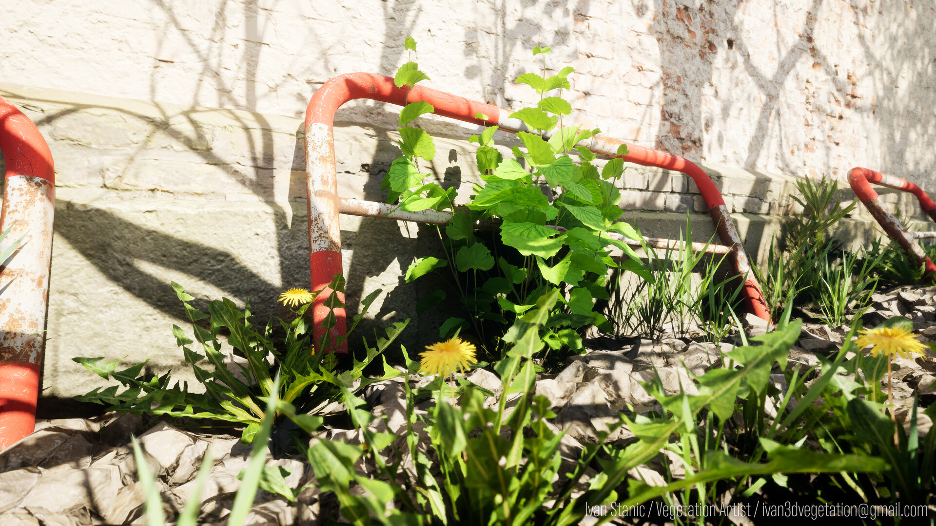 Ivan Stanic - Ground Pack Foliage