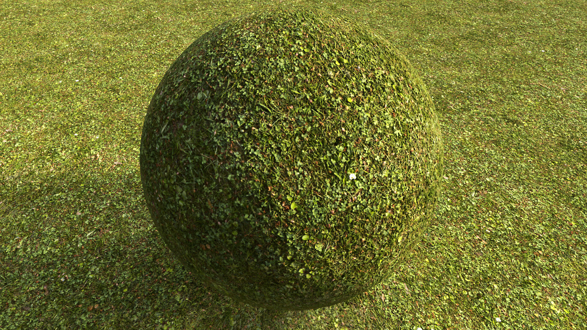 ArtStation - Spring Grass - Photogrammetry based Environment Material