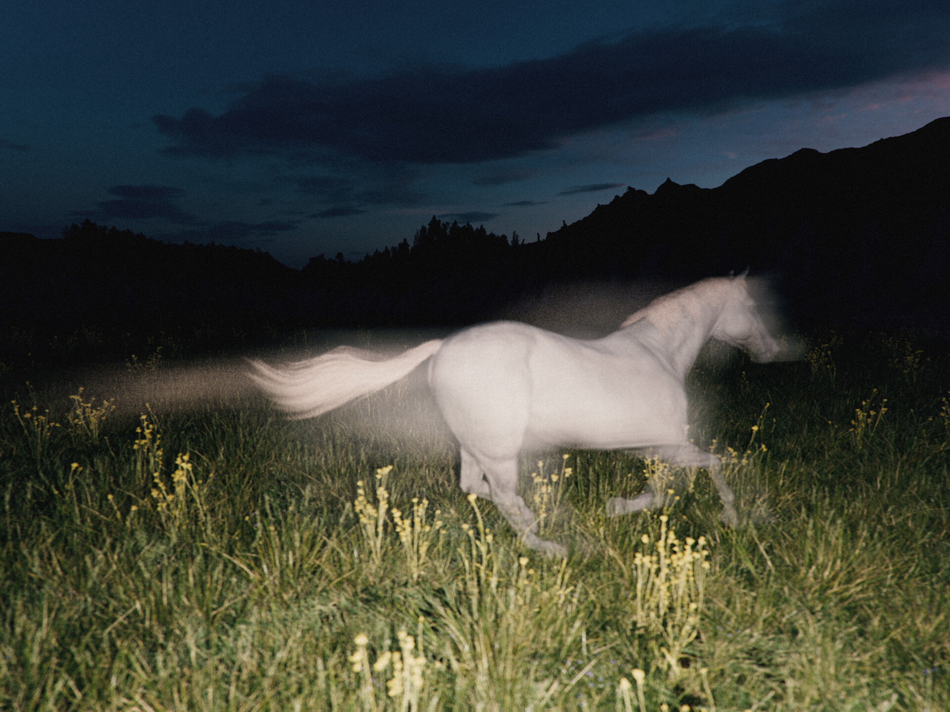 ArtStation - Crépuscule