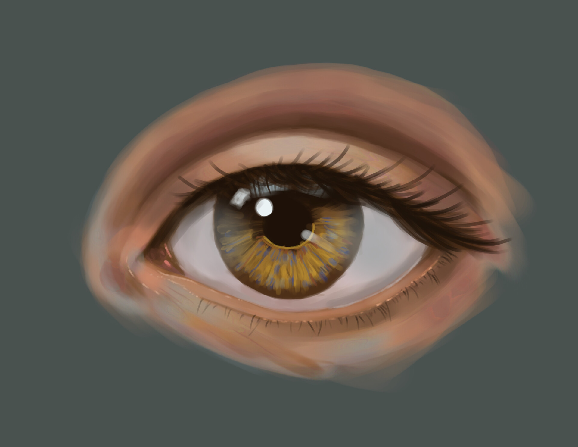 ArtStation - Eye Study