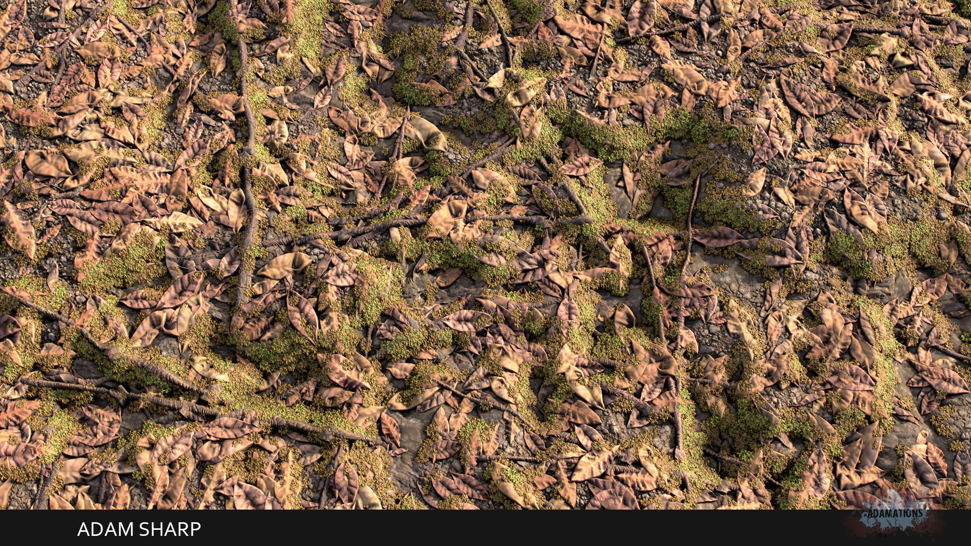 Adam sharp - Forest Dead Leaves