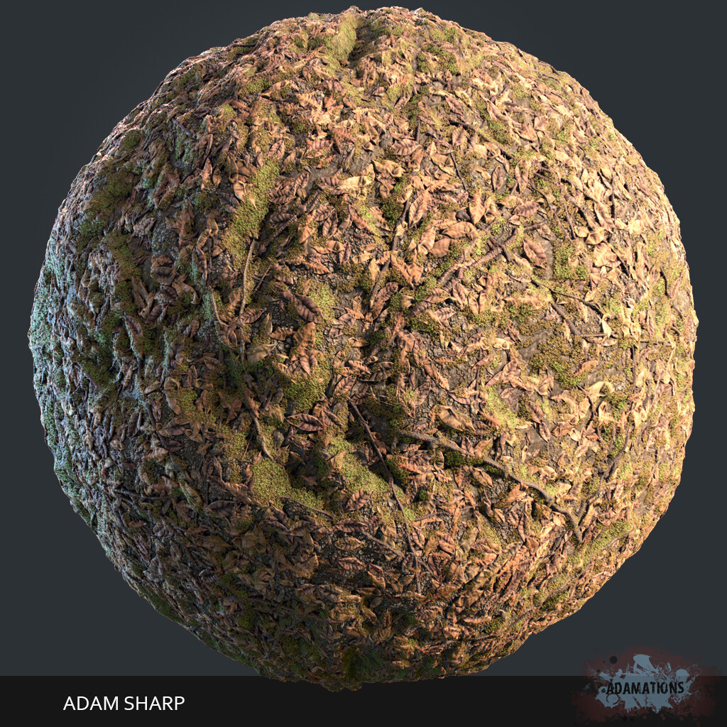 Adam sharp - Forest Dead Leaves