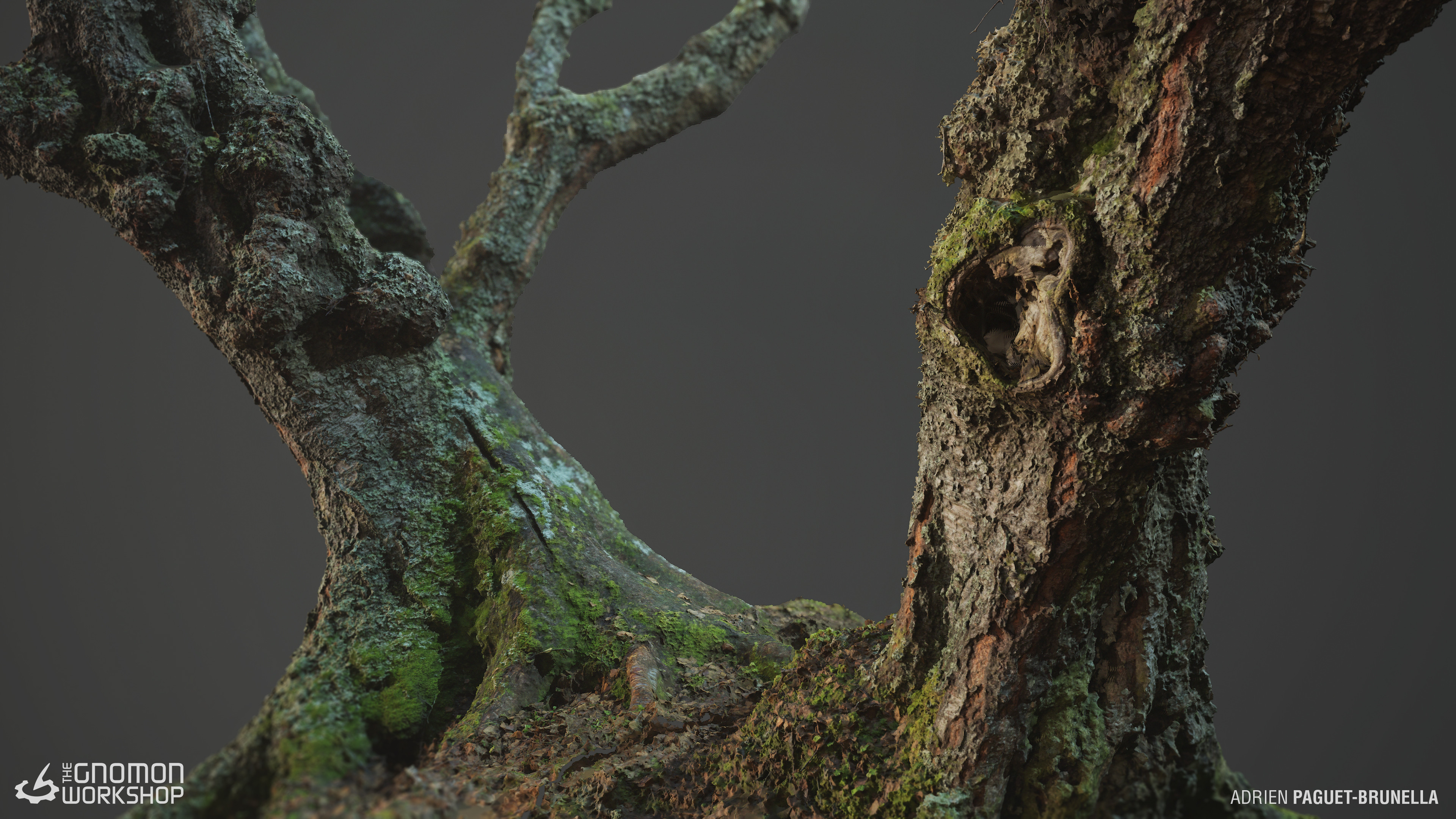 adrien-paguet-brunella-adrienpaguetbrunella-gnomonworkshop-herotrunka ...