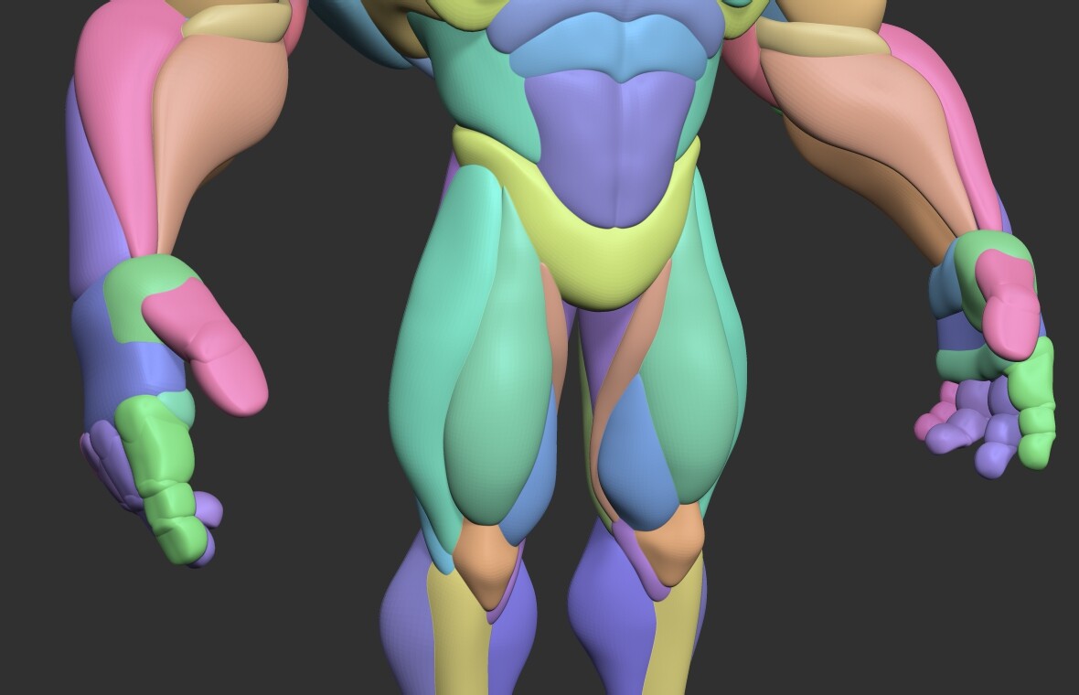 ArtStation - anatomy