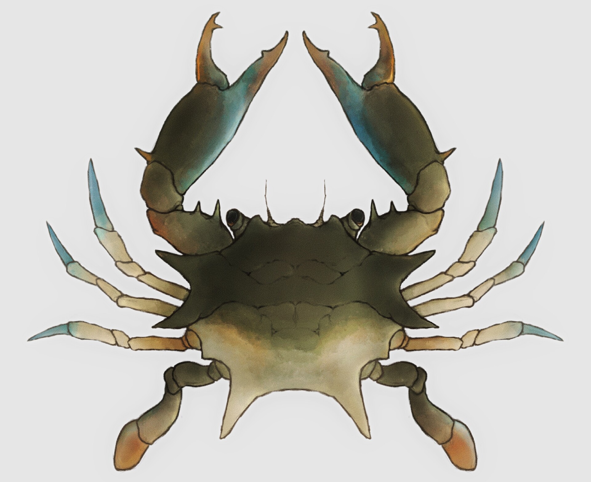ArtStation - Crab-Spider Crab