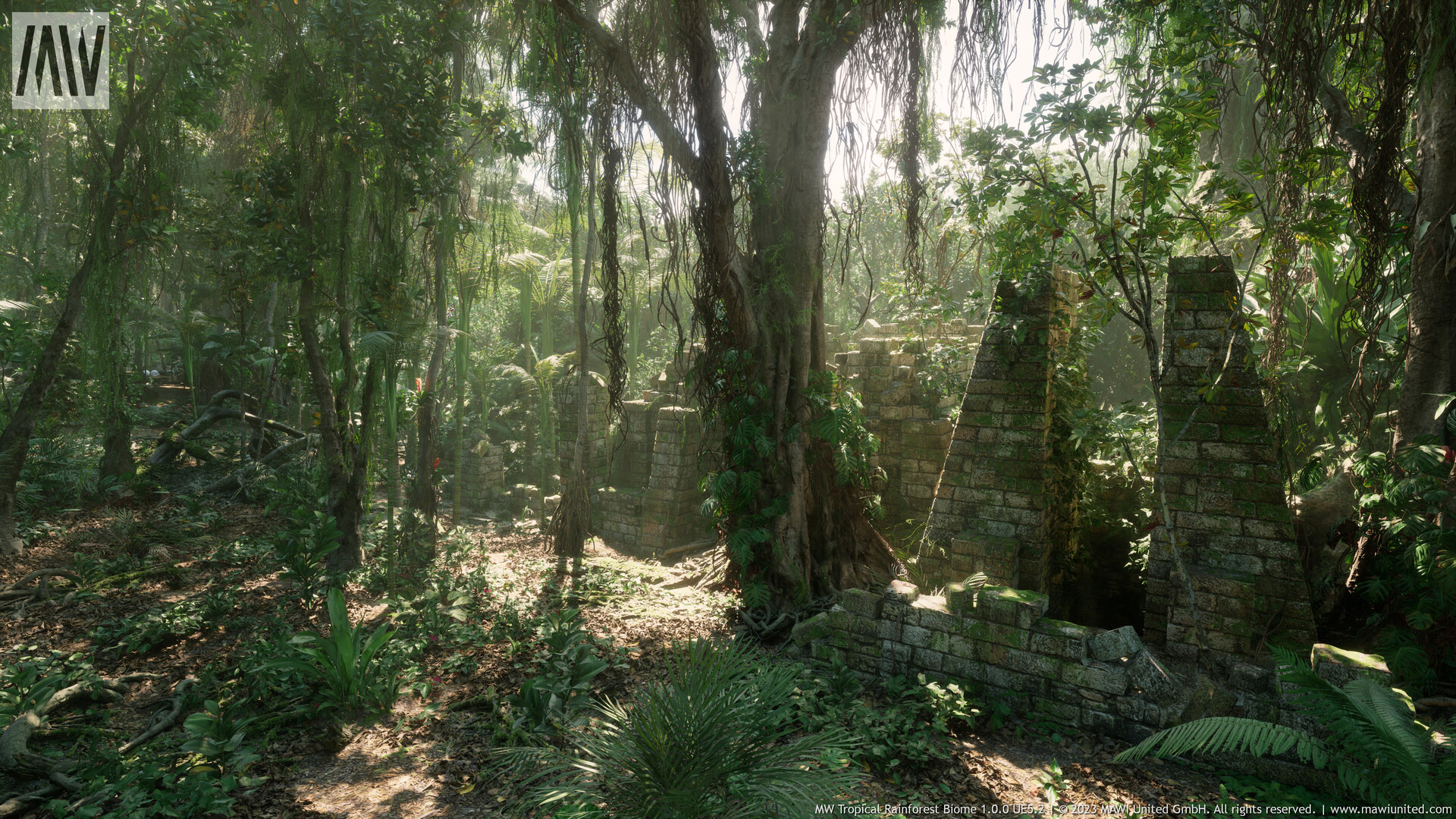 Tropical Forest Biome Tropical Rainforest Biome: Location,